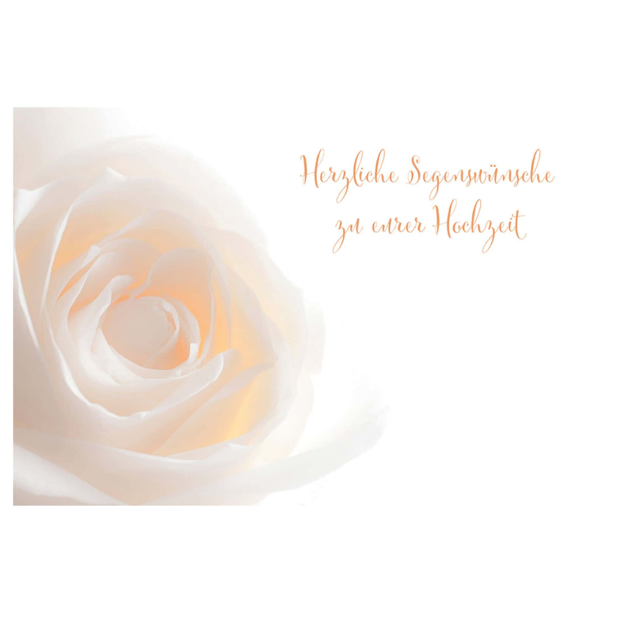 Glückwunschkarte – Herzliche Segenswünsche zu eurer Hochzeit Rose ...